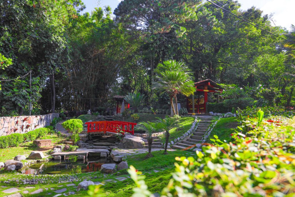 Celebra el aniversario del Saburo Hirao, la entrada al parque será gratis