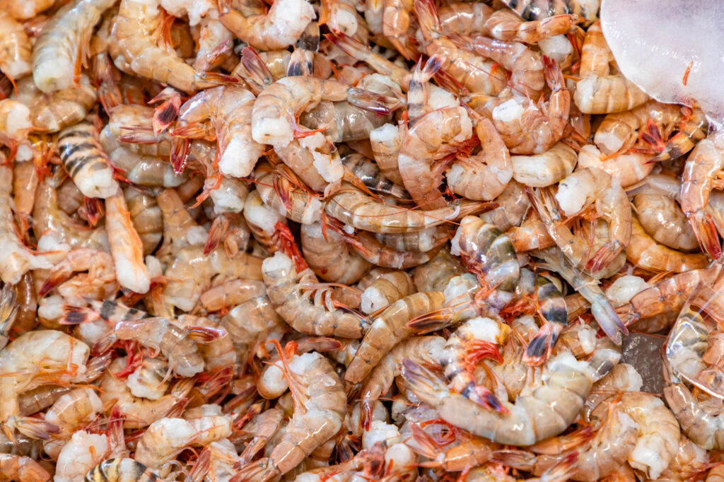 Inicia la veda nacional de camarón marino para proteger el ciclo ...